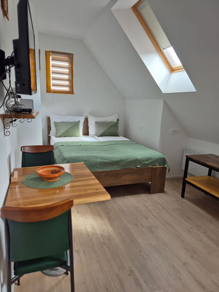 Studio In Slovenian House Vida - Bled
