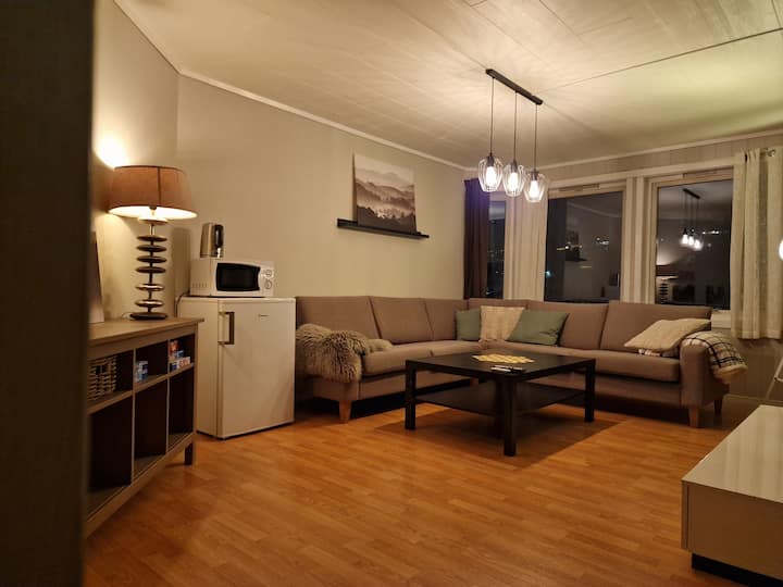 2 Soverom,sentralt I Skien. Gratis Parkering. - Skien