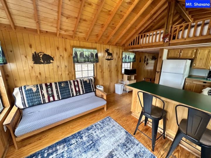 Mt Shavano Cabin - Monarch, CO