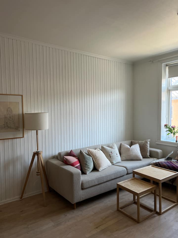 Central Cozy Apartment In Trondheim - Trondheim