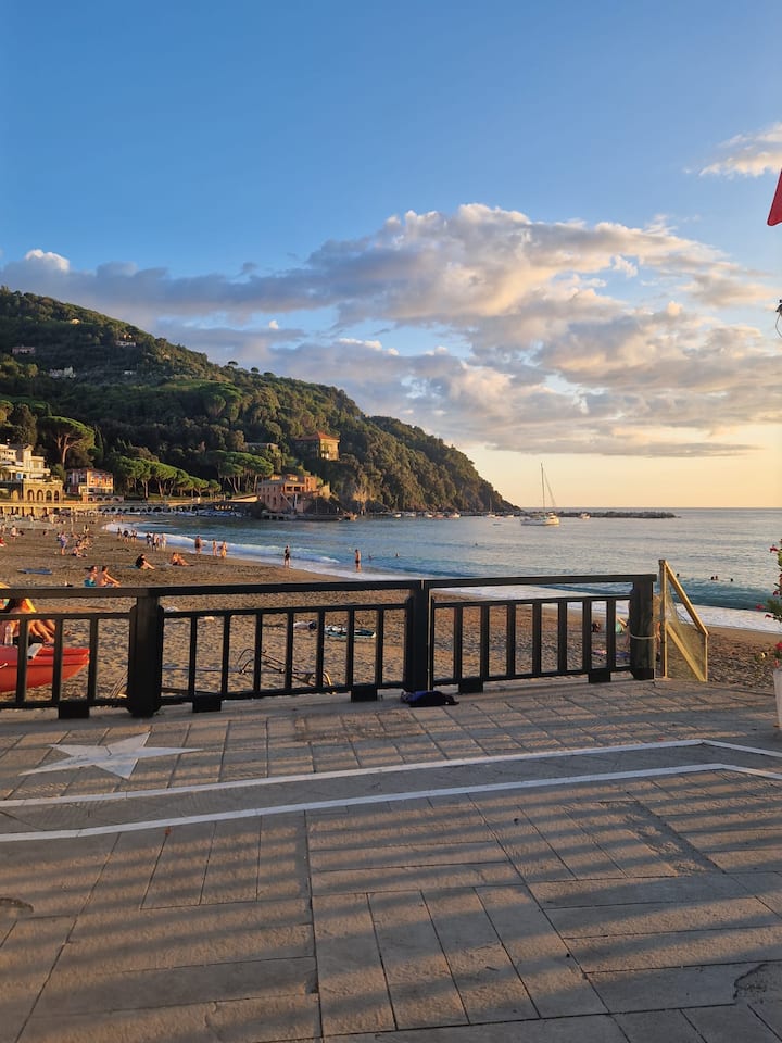 La Terrazza Su Levanto Cc011017-lt-0186 - Levanto