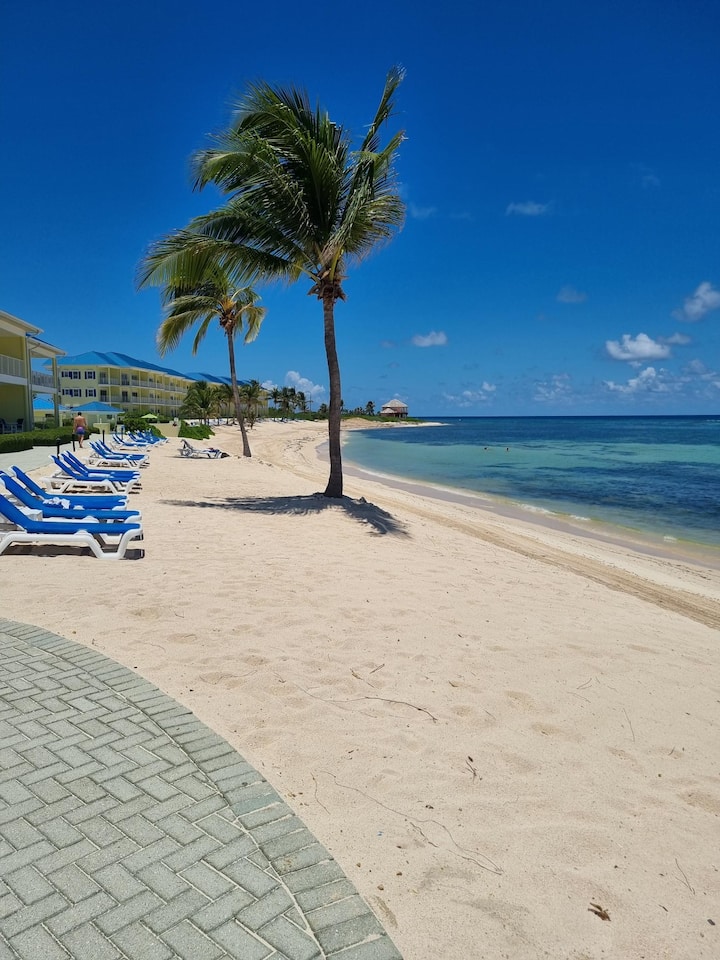Luxury King Penthouse Condo Beachfront Resort - Cayman Islands