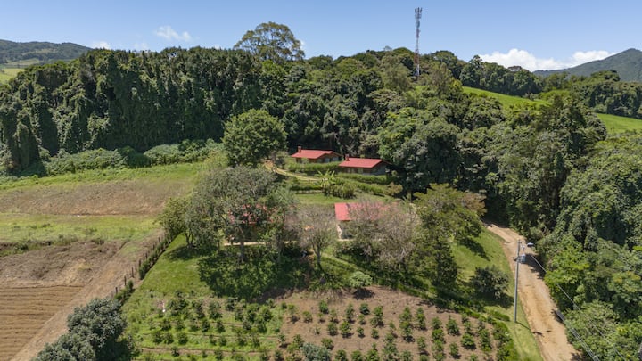 Cabaña Junto Al Bosque. Con Declaratoria Ict - Bajos del Toro