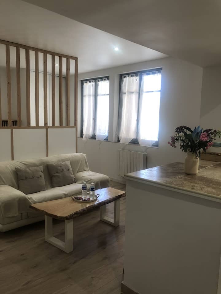 Appartement Charmant Et Lumineux - Caussade