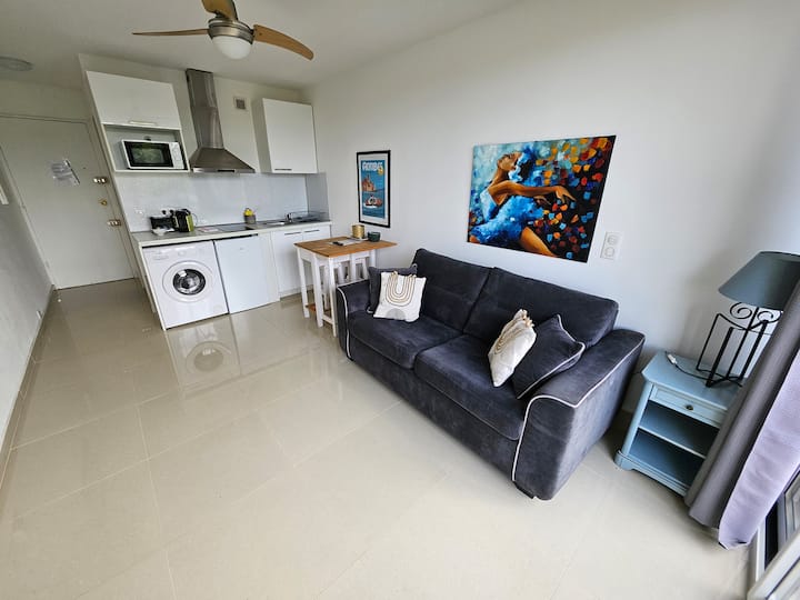 Antibes Charmant Studio Tout Confort Au Calme - Juan-les-Pins