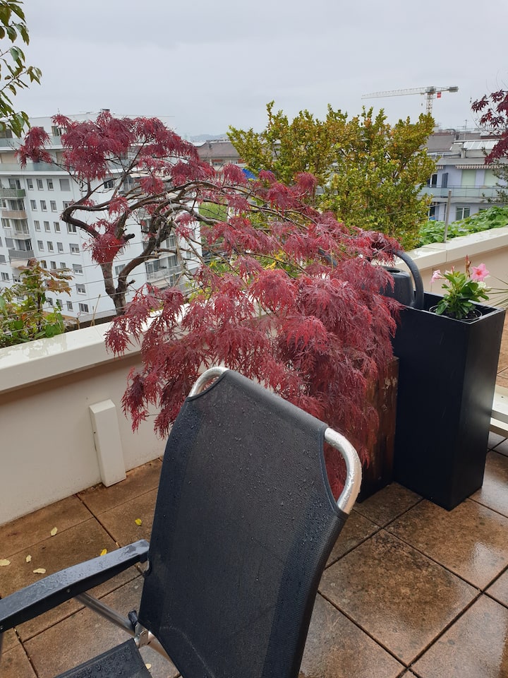 Studio En Attique Au Calme, Avec Petite Terrasse. - Ginebra