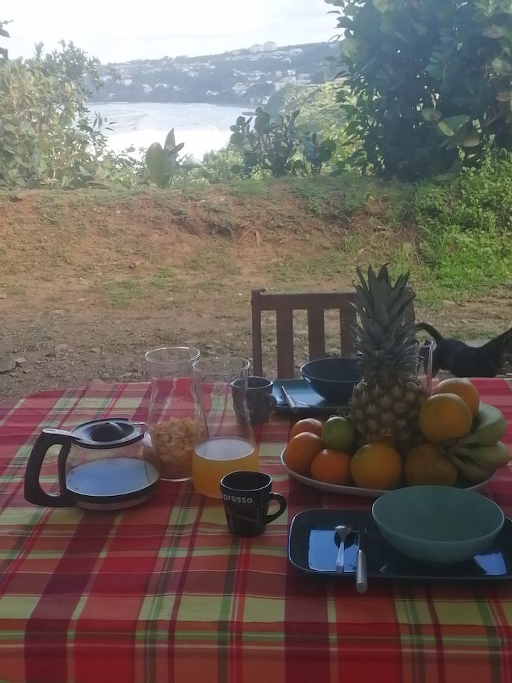 Océan Et Nature - Martinique