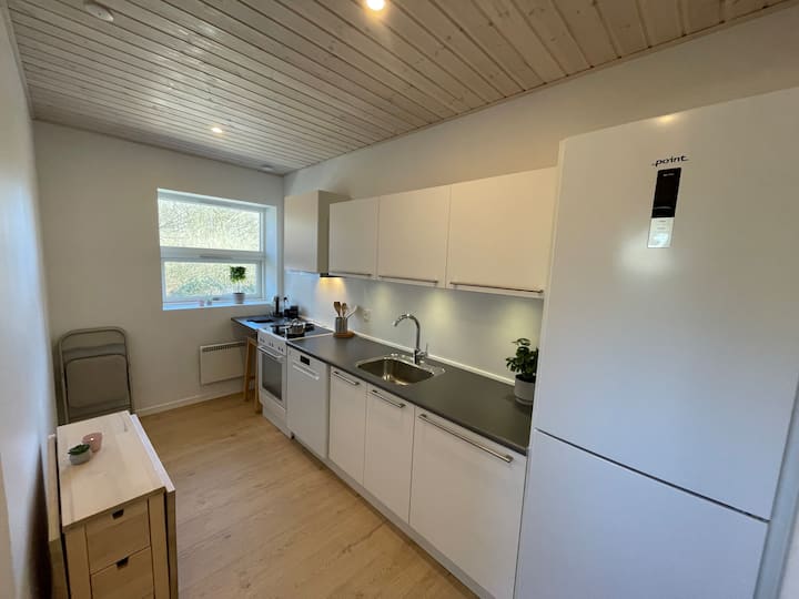 Lille Nyrenoveret Lejlighed - Aarhus