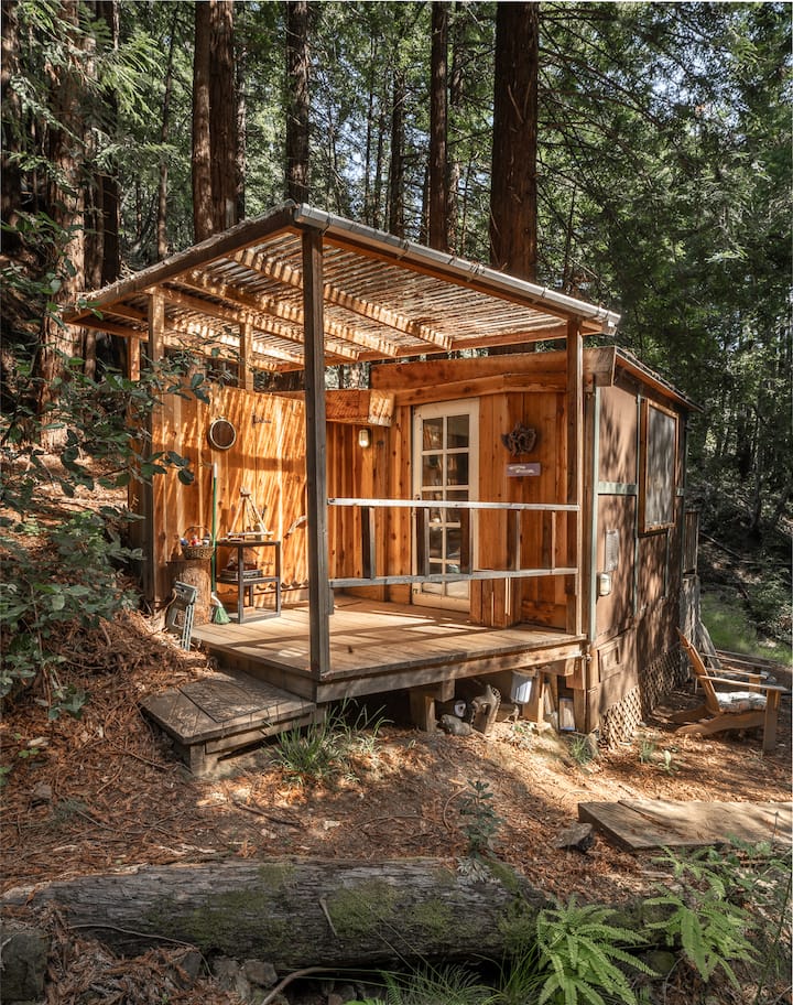 Lotus Blossom Cabin In The Forest - Big Sur, CA