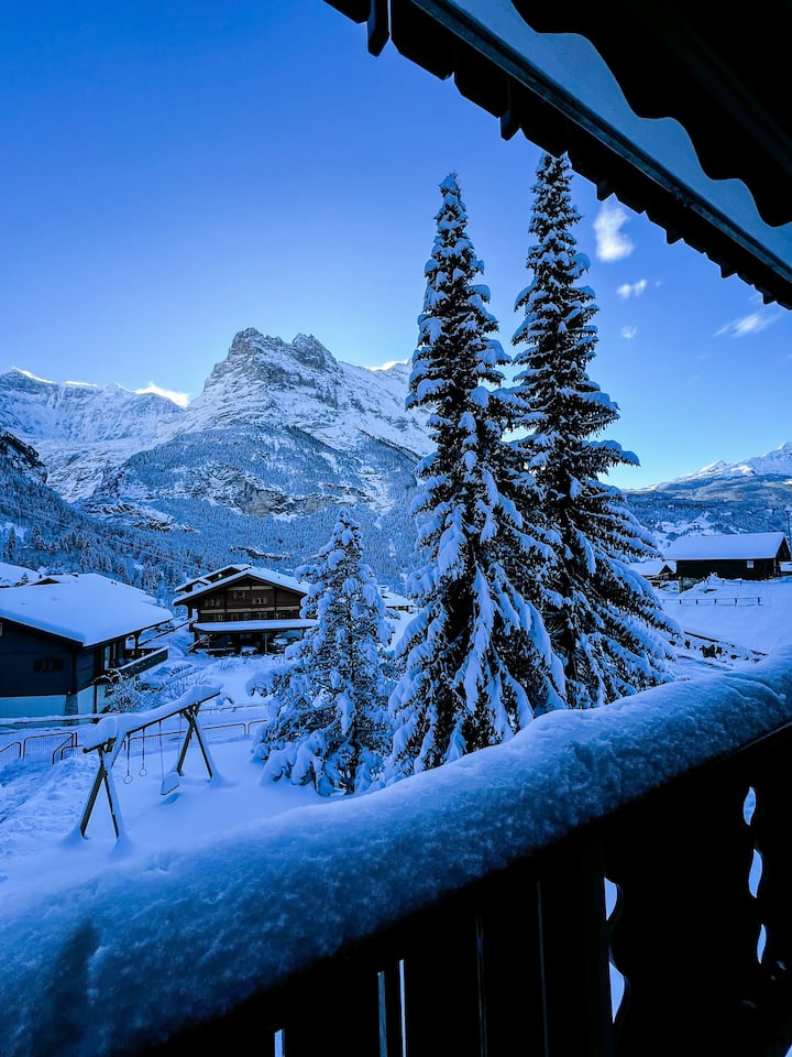 Apartment Sunna - Grindelwald