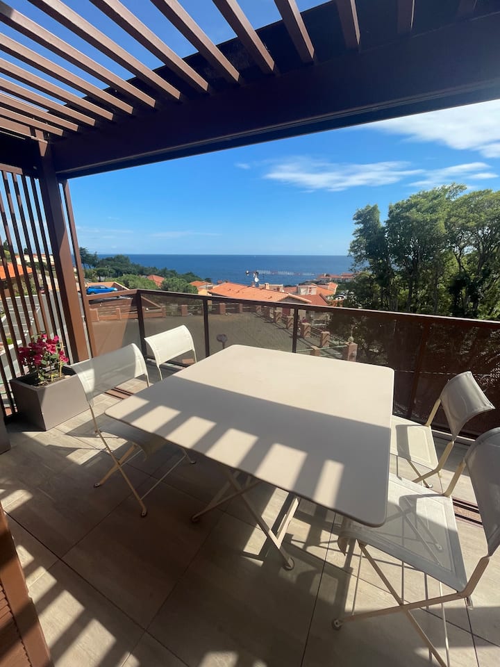 Nouveau ! Appartement T2-terrasses-vue Mer-garage. - Collioure