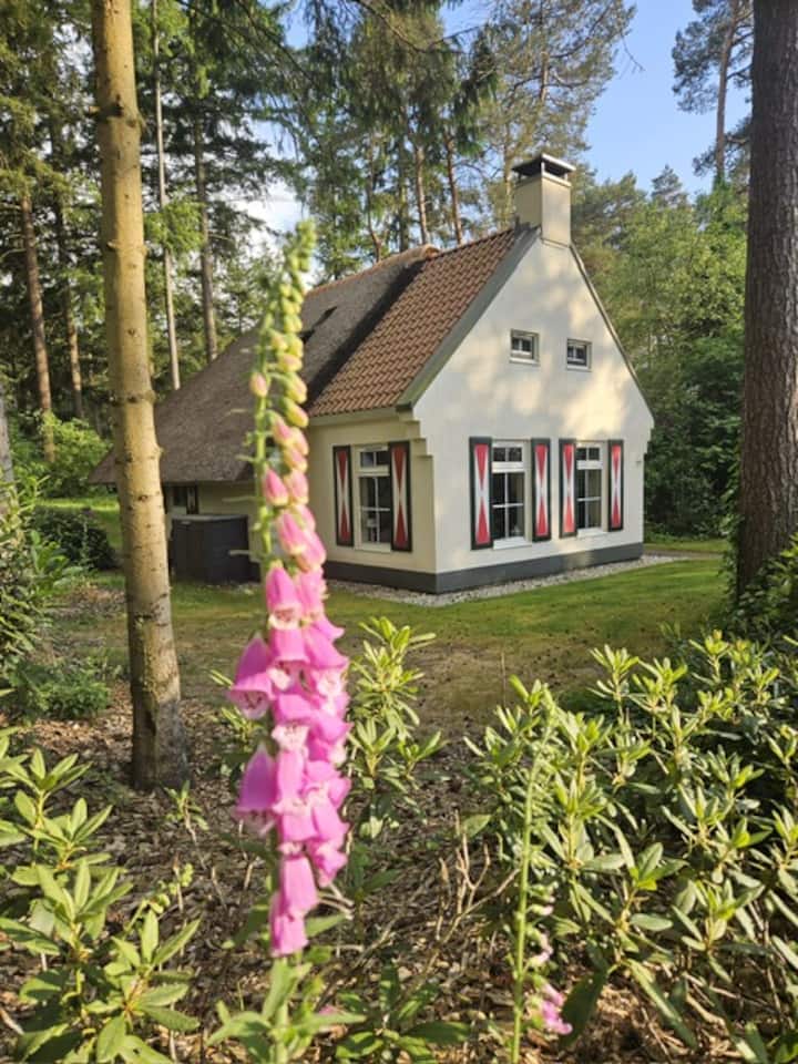 Hertenspoor, Een Idyllische Plek In Drenthe - Drenthe