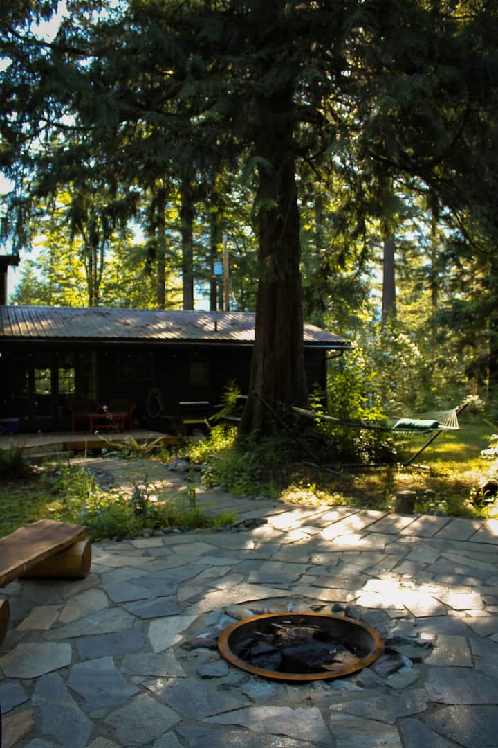 Black Tail Den - Cultus Lake