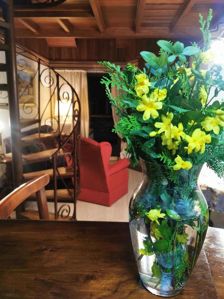Apartamento Elegante E Cheio De Charme: Aroeira32 - Campos do Jordão