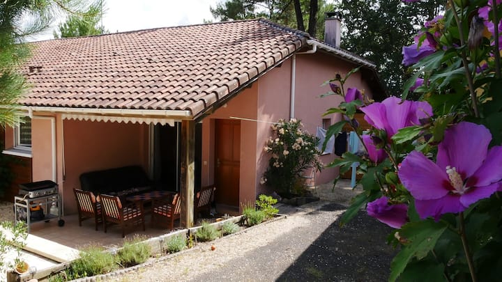 Maison Entre Océan Et Forêt. - Messanges