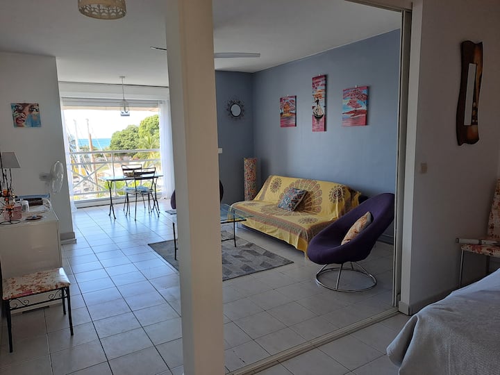 Chez Patricia Appart Classé 2 éToiles - Guadeloupe