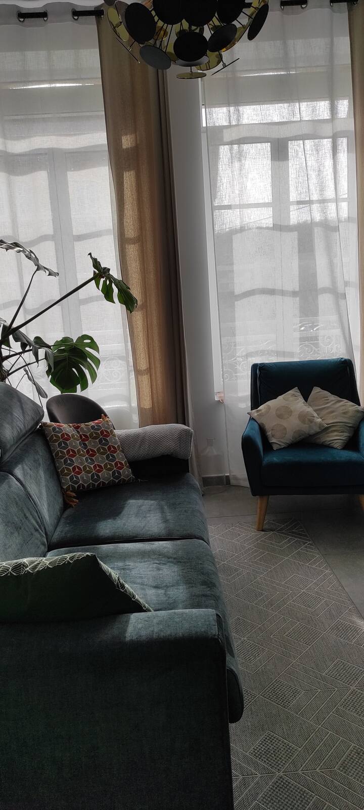 Le Berlioz Chambre Au Calme Climatisée Sdb Privée. - Bourgoin-Jallieu