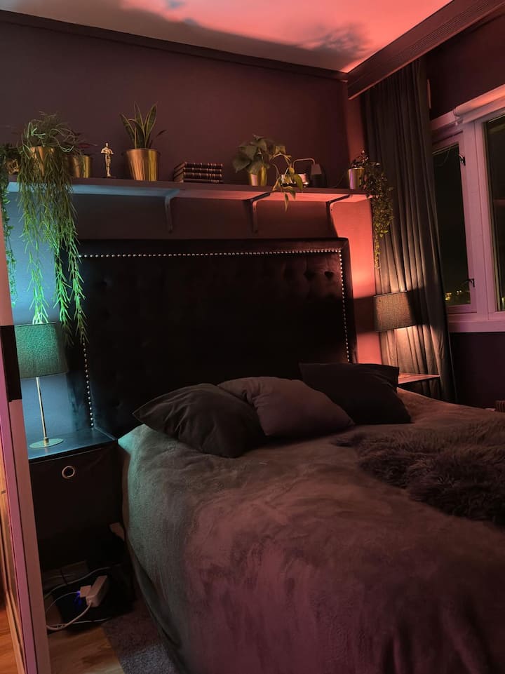 Wonderful Moholt Apartment - Trondheim