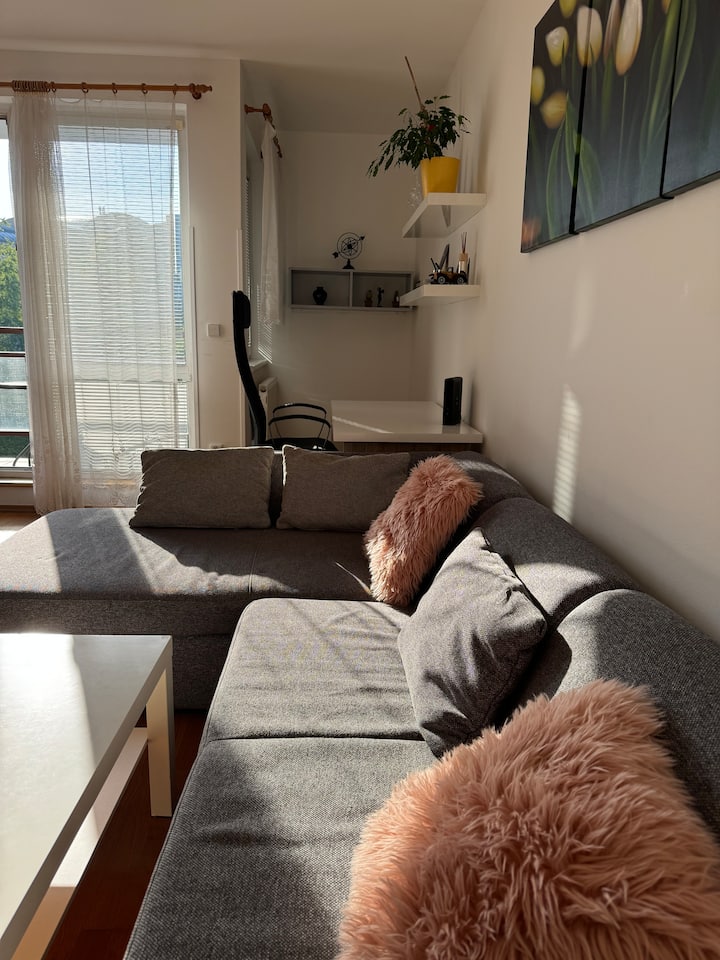 A Large 1 Bedroom Apartment With A Private Parking - Praga