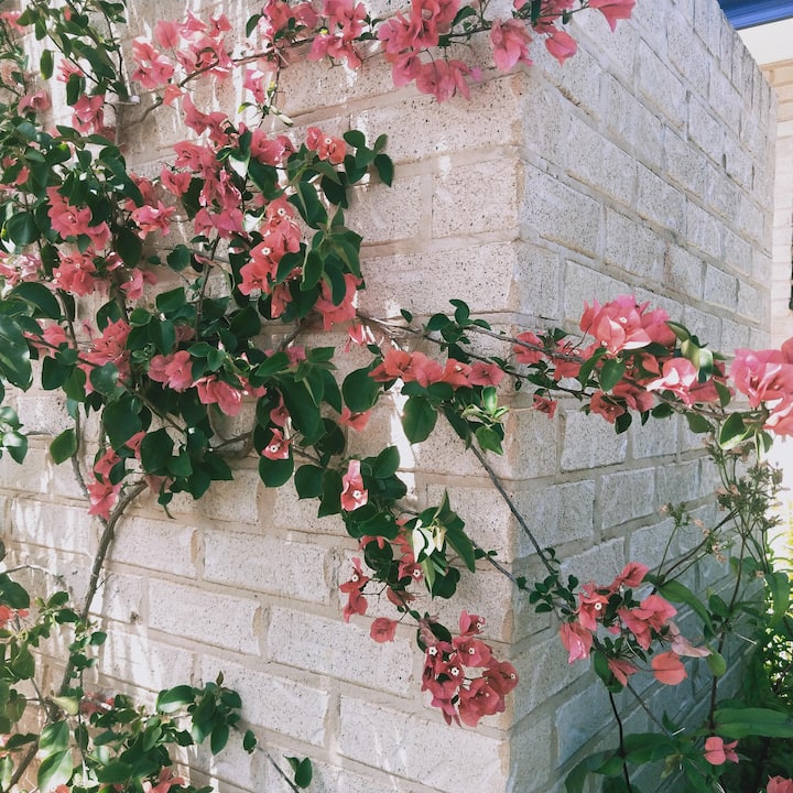 Little Tuscan House - Albury