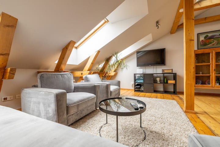 Stabu Sunny Attic Apartment - Riga