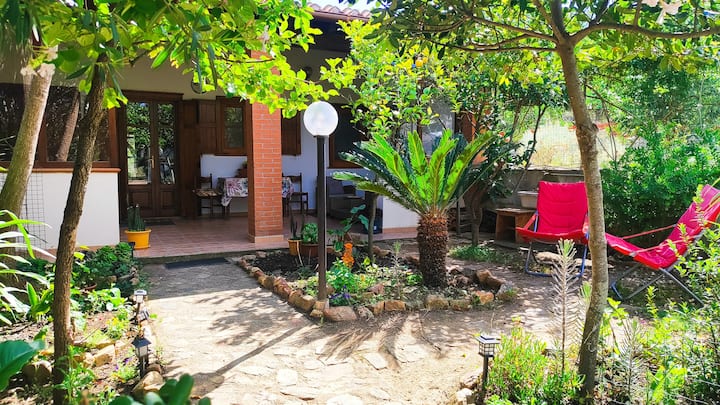 Casa Trudau (Indipendente Con Giardino) - Solanas