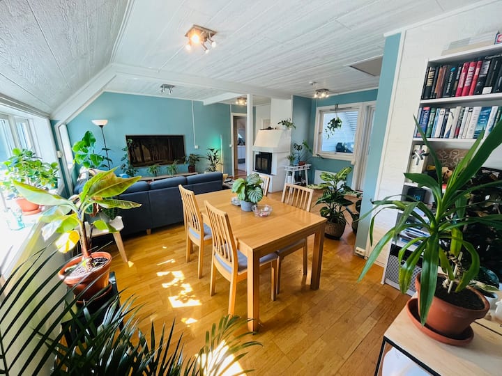 Stor Og Supersentral Toppleilighet - Trondheim