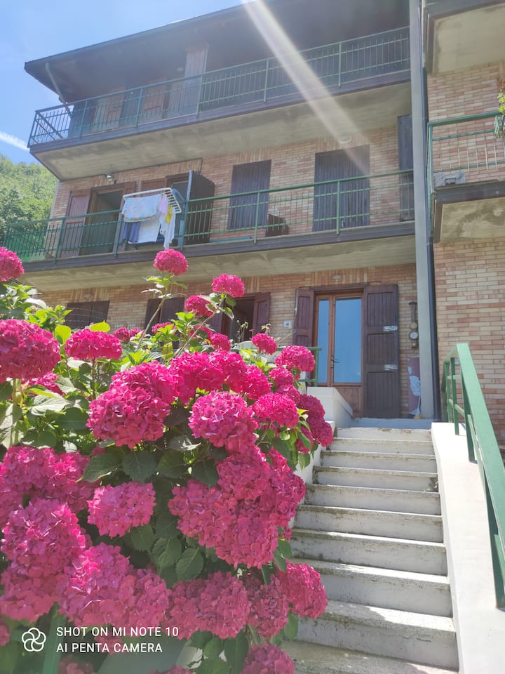 Monolocale Ortensia - Lizzano In Belvedere