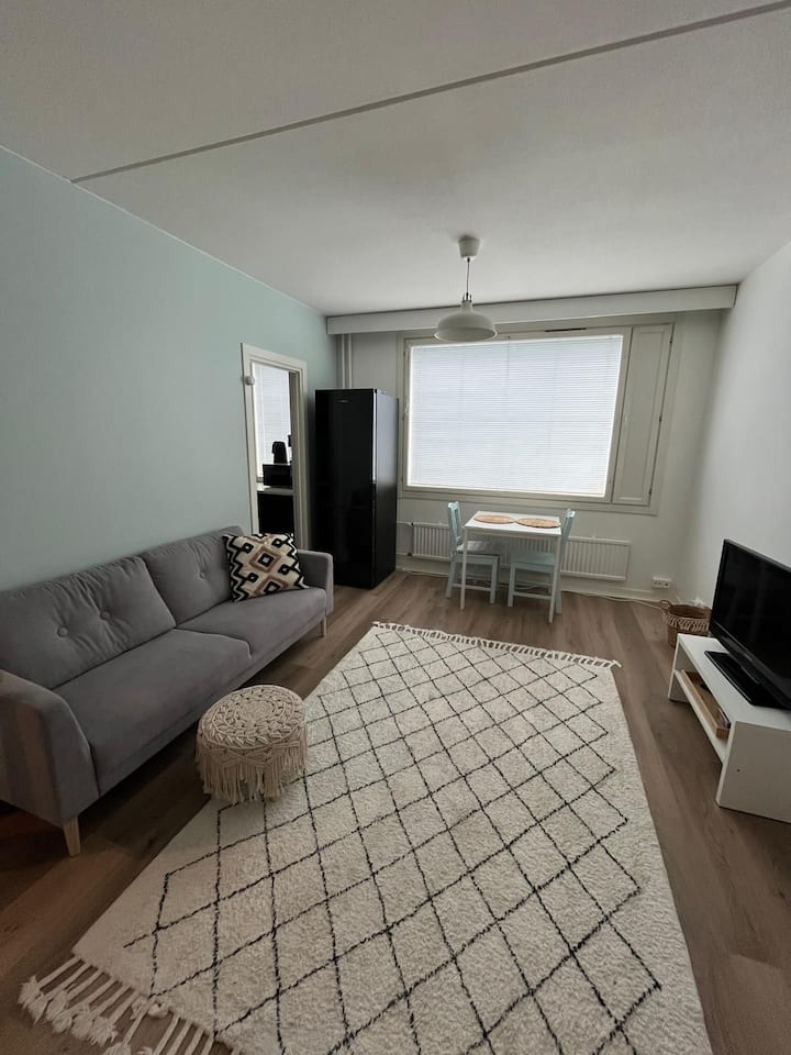 Viihtyisä Kaksio Keittokomerolla - Lahti