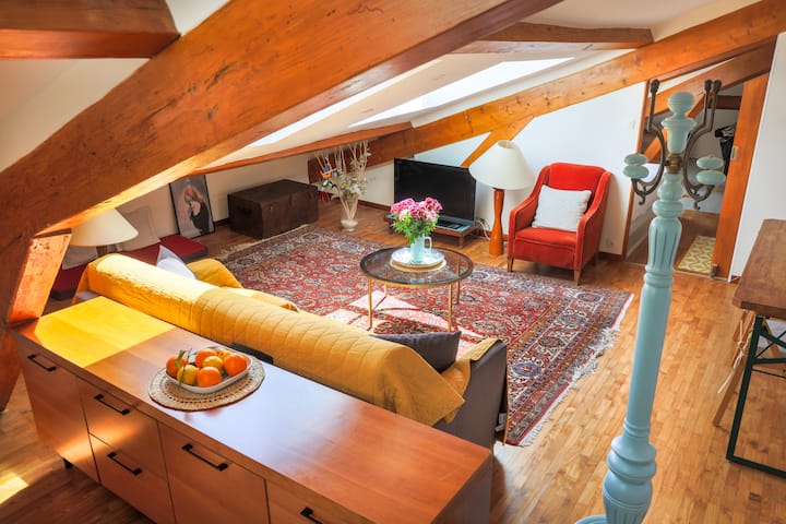 Charme Unique Sous Les Toits De Cannes - Cannes