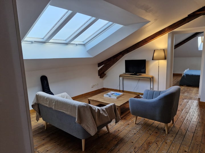 Appartement Centre Historique (5p) - Romans-sur-Isère