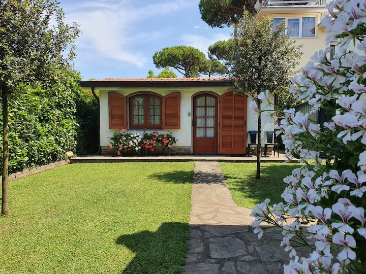 La Capannina - Pietrasanta