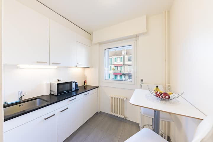 The Stylish Minimalist Lakefront - Crissier