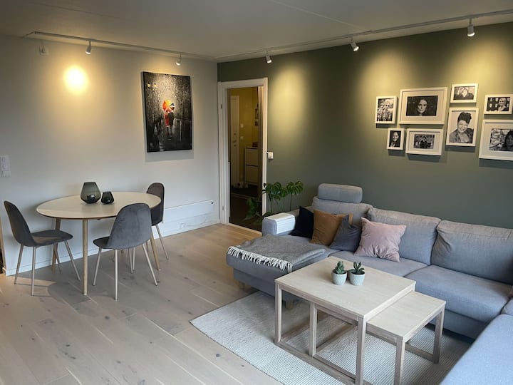 Central Room For 2 People - Oslo