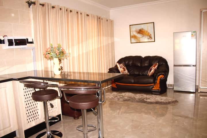 The Cosy Apartment - Harare