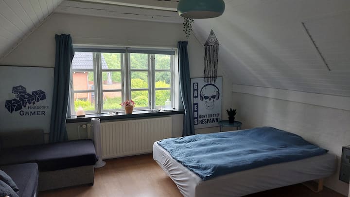 Hyggeligt Værelse Med Morgensol - Odense