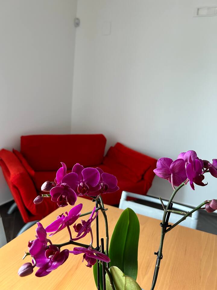 B&b A Due Passi Da - Corato