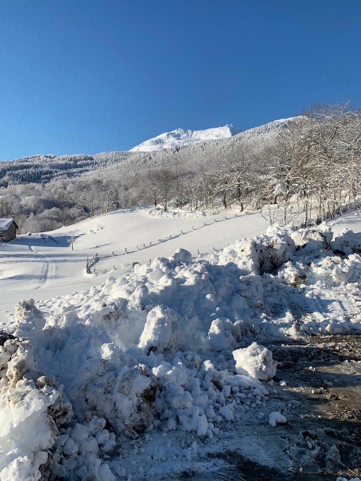 Abitazione Dei Vecchi Sci - Emilia-Romagna