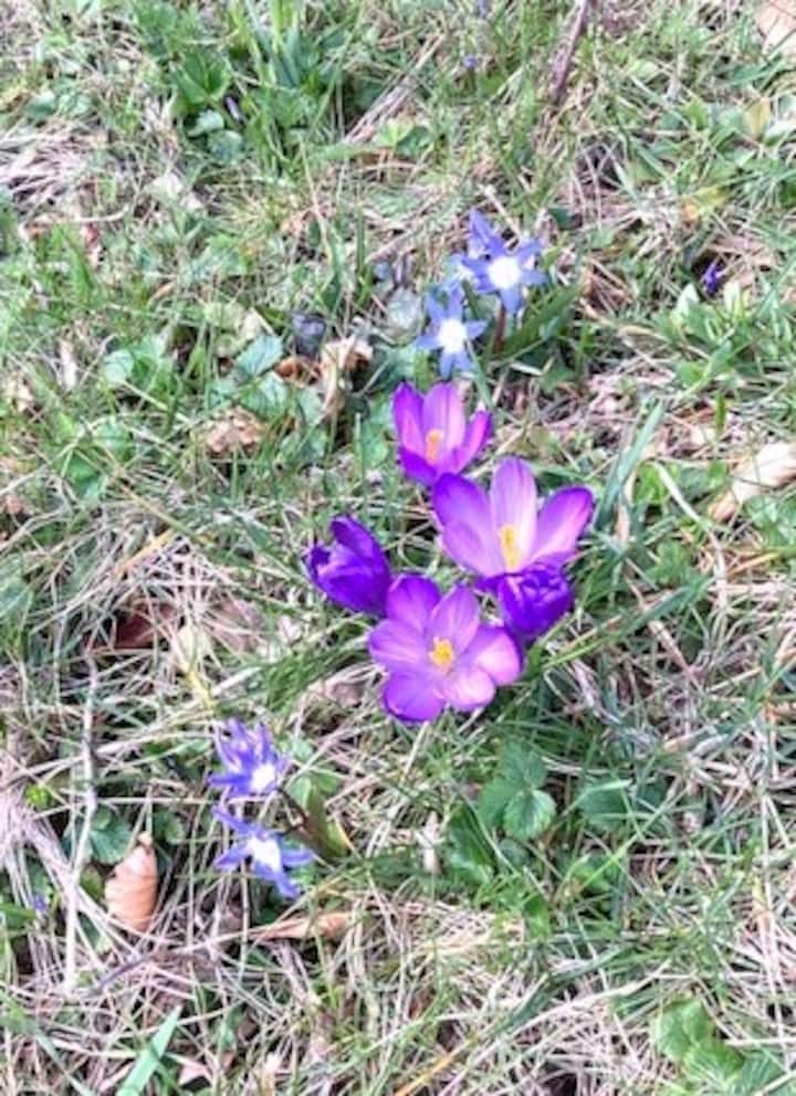 Abitazione Dei Vecchi Sci - Emilia-Romagna