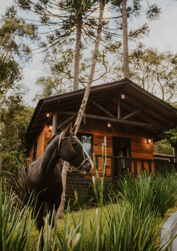 Cabana Na Natureza • Hidro • Vista E Privacidade - Bom Retiro