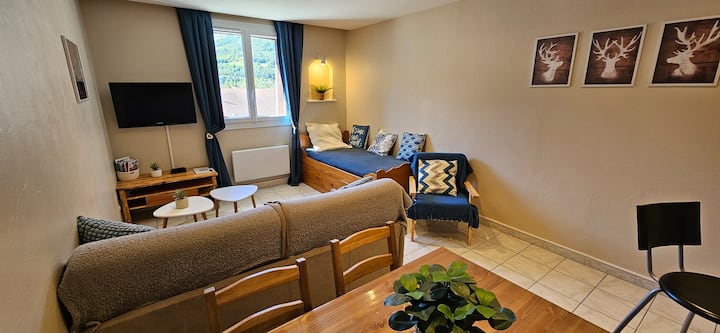 Grand Studio Confort 3 Personnes (Linge En Option) - Barcelonnette