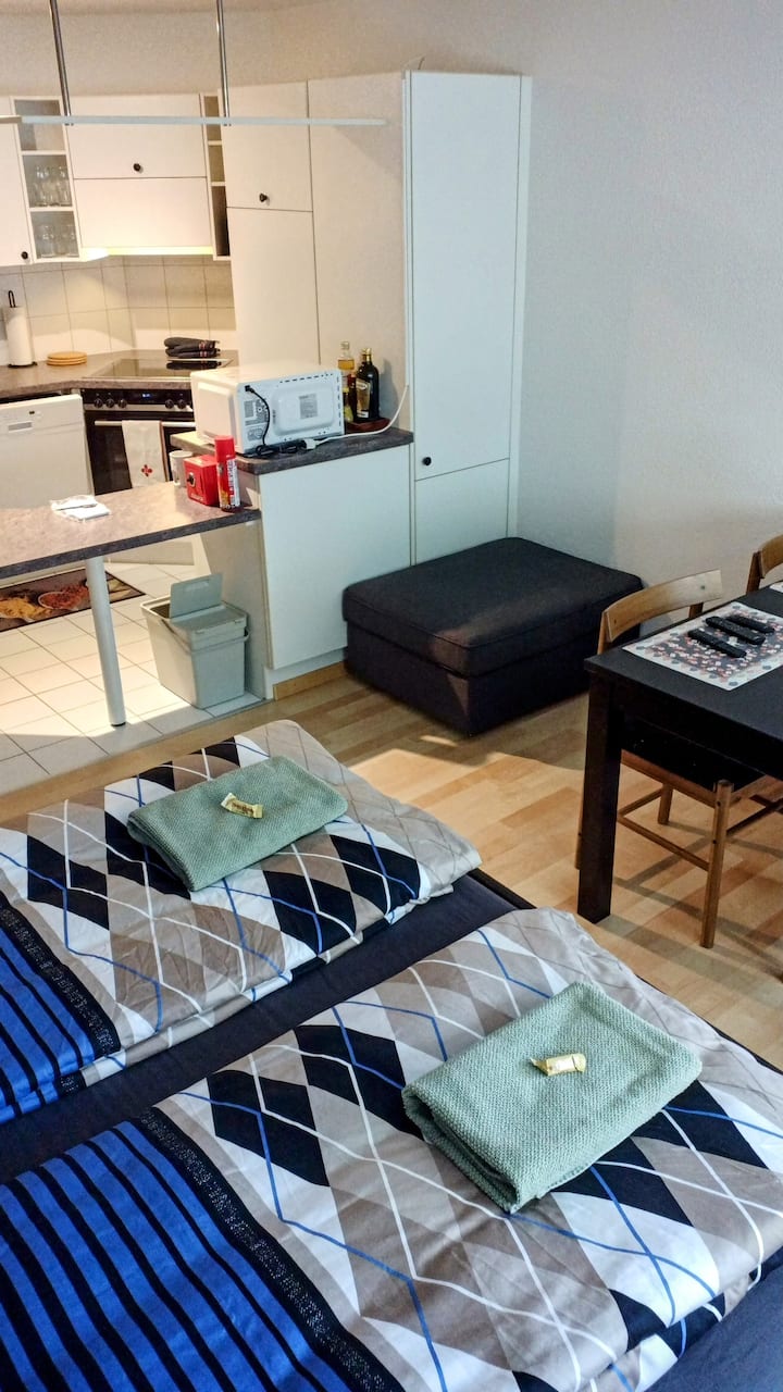 Family Friendly, Free Parking (Reg.0hzz7-i31yis) - Lucerne