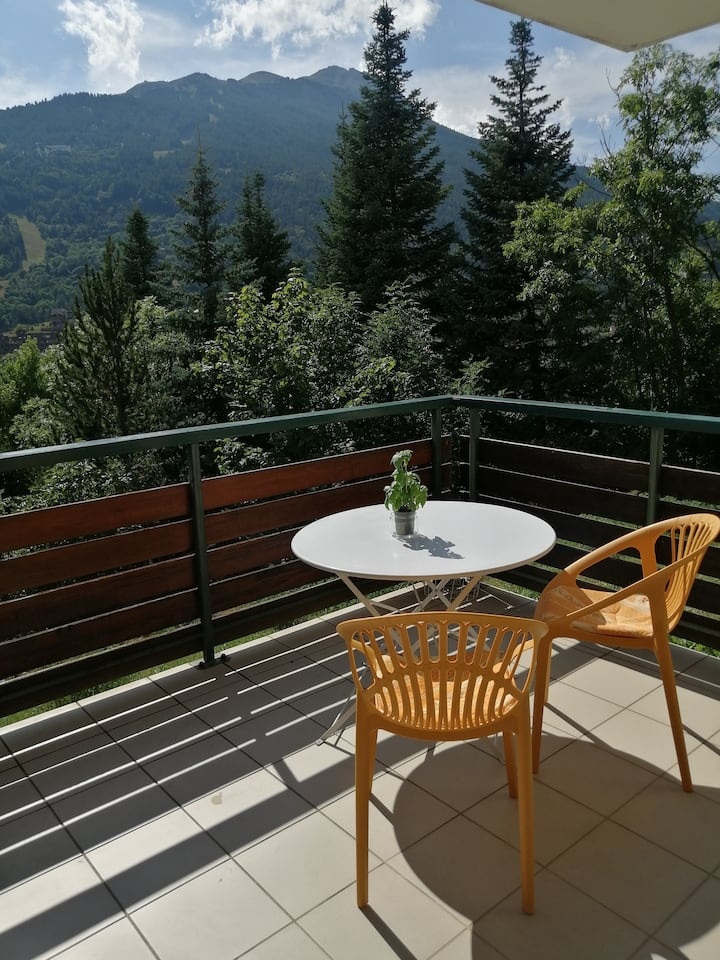 Appart Au Calme Avec Terrasse Plein Sud à Briançon - Monginevro
