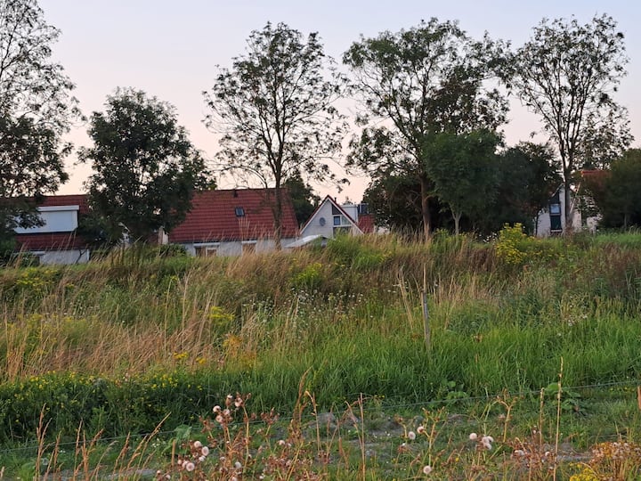 Holiday House, 1km From Sea, Breskens - Breskens