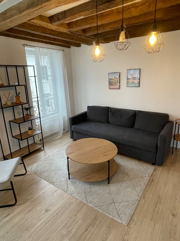 Charmant Appartement Orléans ! - Orléans
