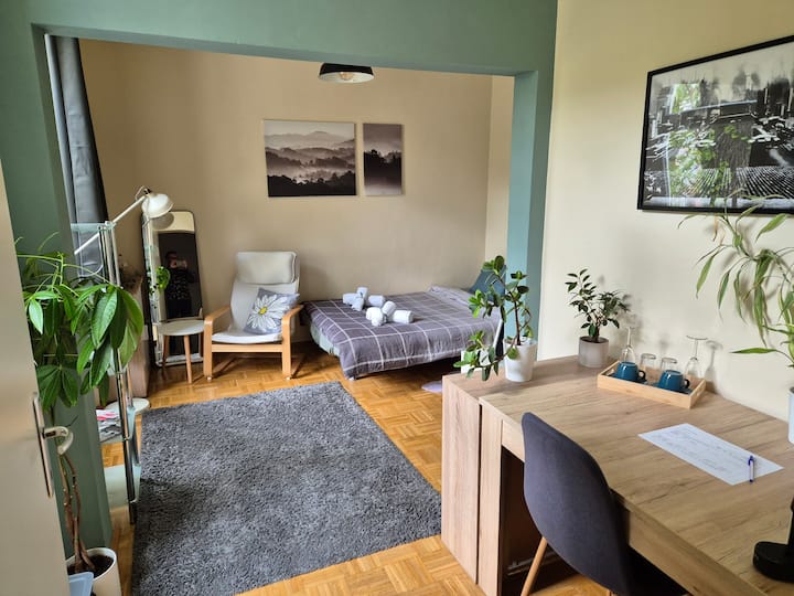 Cosy Bedroom In Vienna - Wien
