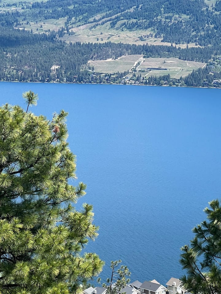 Amazing Panoramic View Lake House-pools, Hot Tubs! - Lake Country