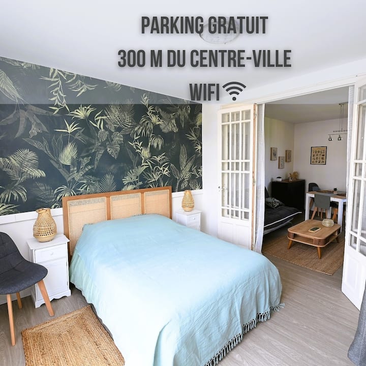 Appartement T2 Cosy 2 à 4 Pers Proche Du Centre - Bagnères-de-Bigorre