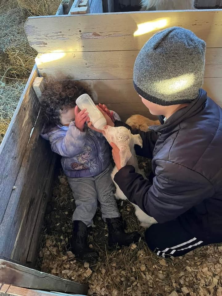 Buggy Rides/fire Pit/prayer House /Books; Bibles - Honey Brook, PA