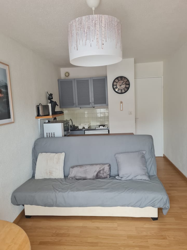 Studio "Le Cerf De Bolquère " + Cave - Bolquère